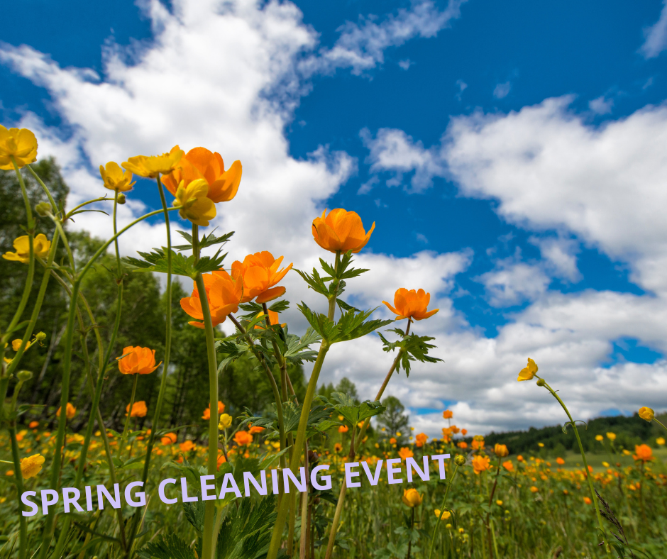 Spring Cleaning Bundle 2