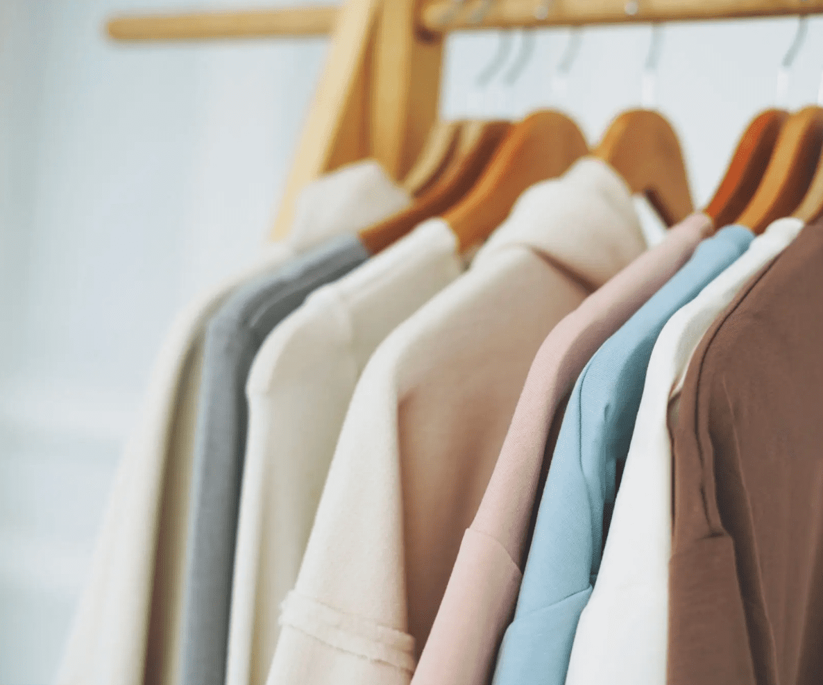 Creative Sweatshirt Collection